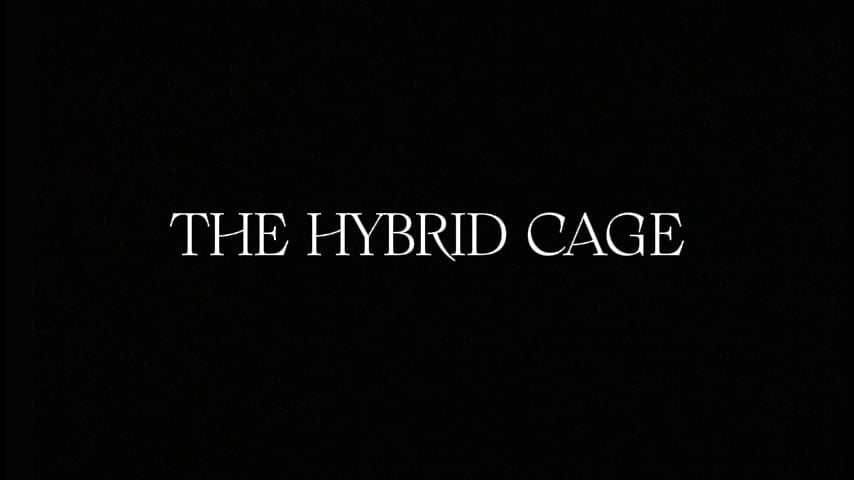 THE HYBRID CAGE