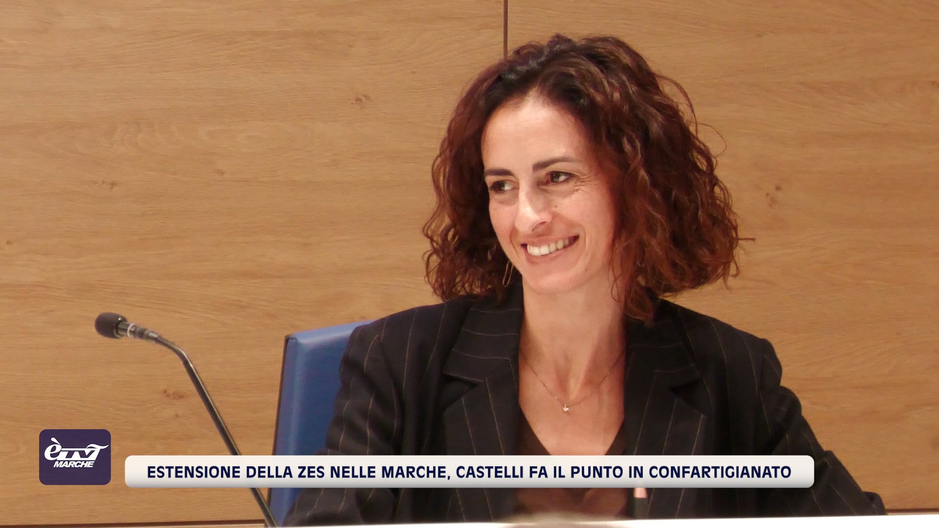 Estensione della ZES nelle Marche, Castelli fa il punto in ...