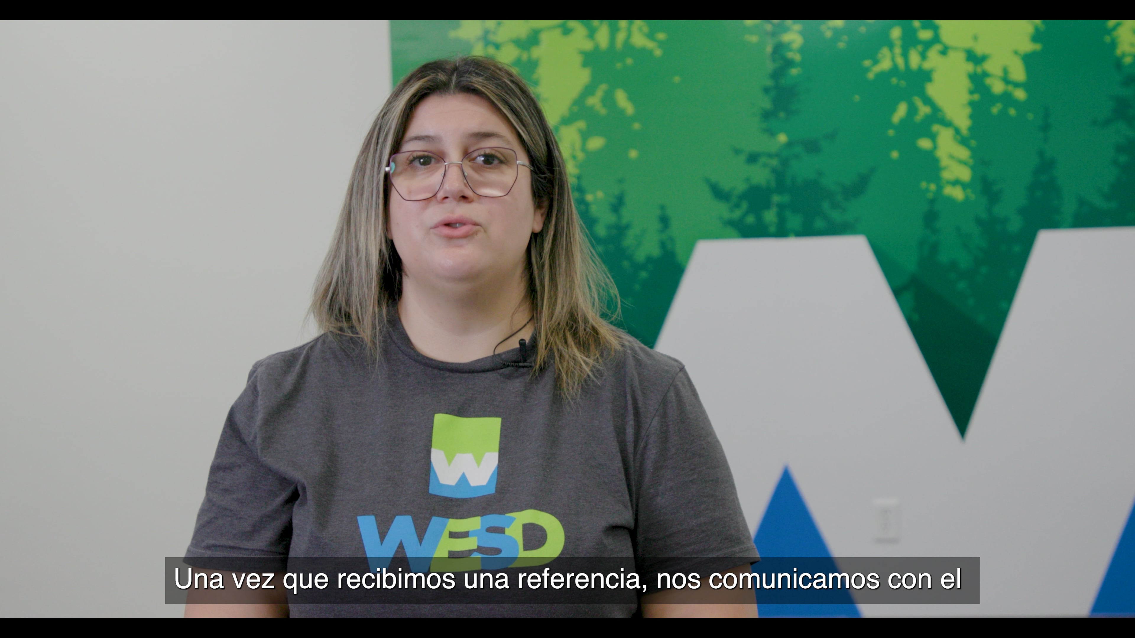 Introducción a las referencias de WESD