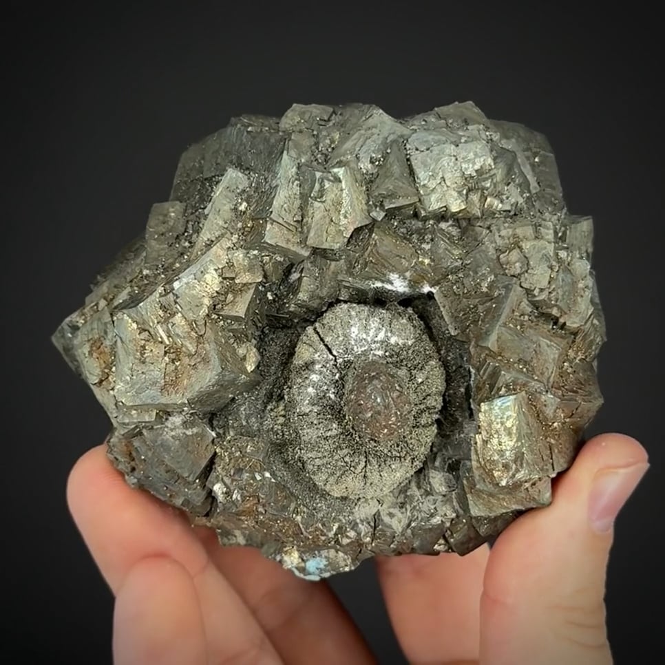 Pyrite and Marcasite (RARE Sicily)