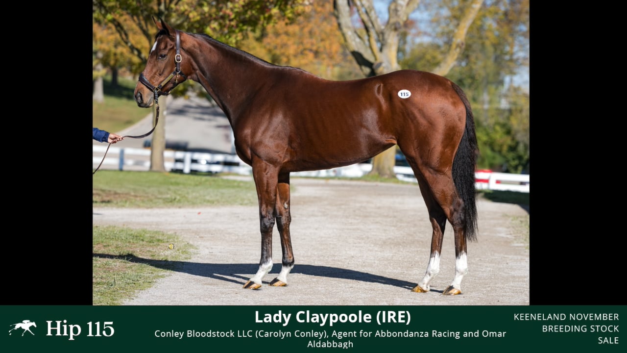 Hip 115 KEE NOV Lady Claypoole