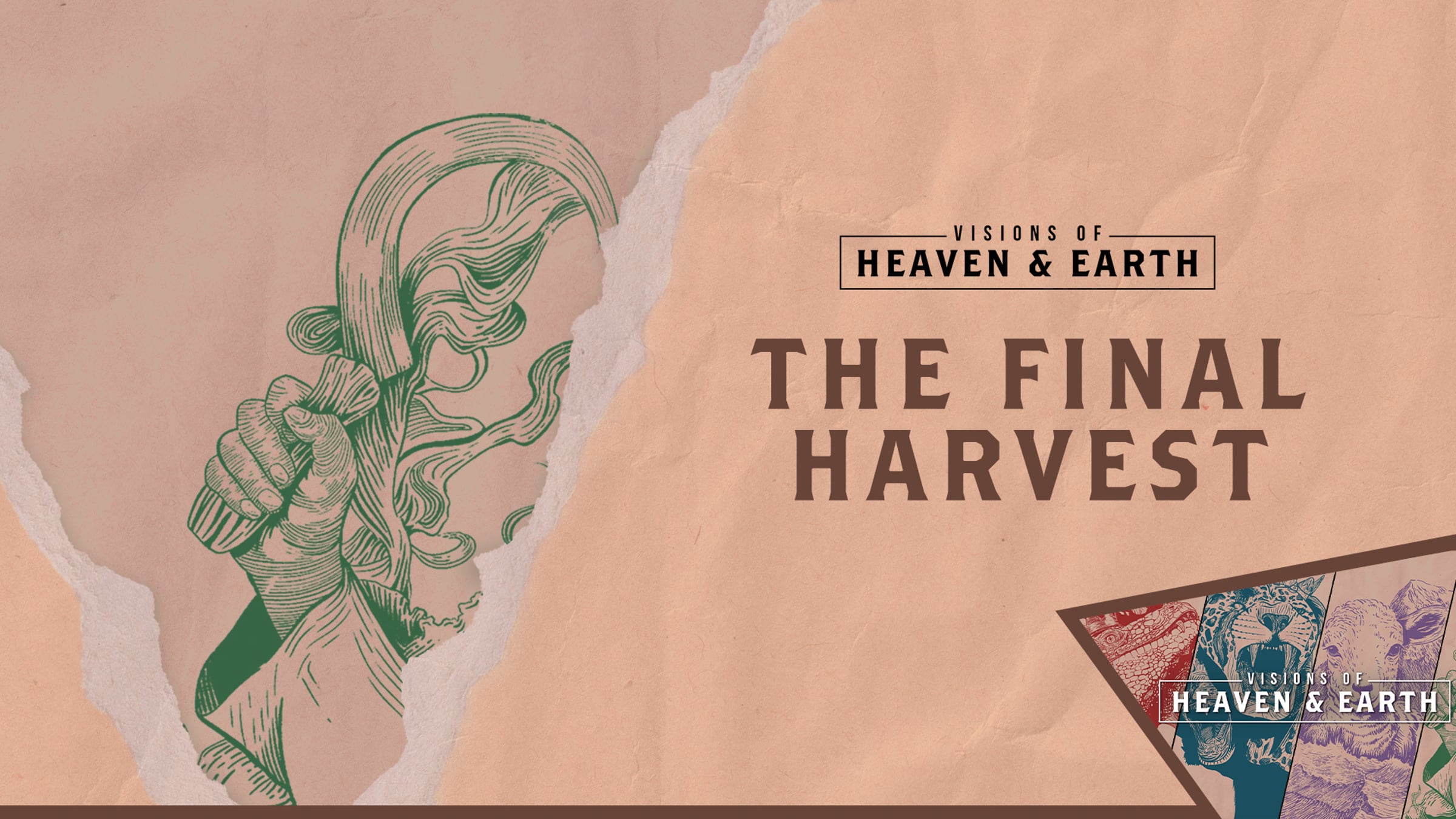 11-02-25 - Visions of Heaven and Earth - The Final Harvest - Revelation ...