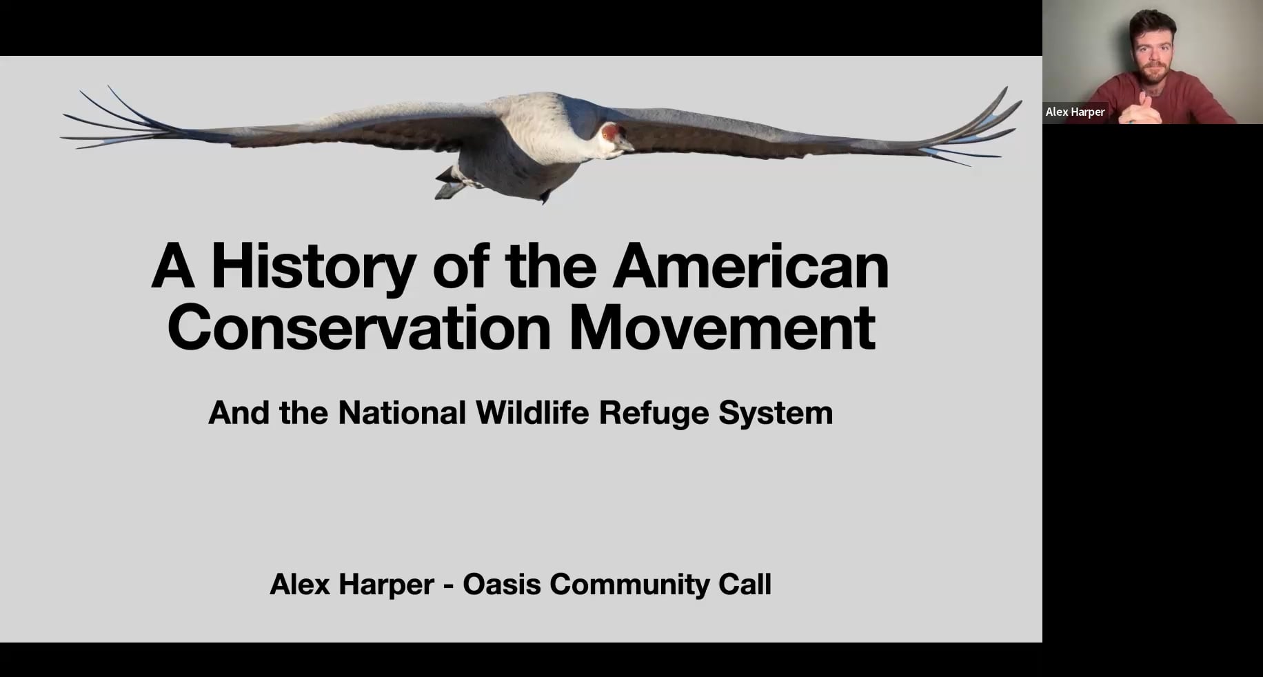 History of the American Conservation Movement & National Wildlife ...
