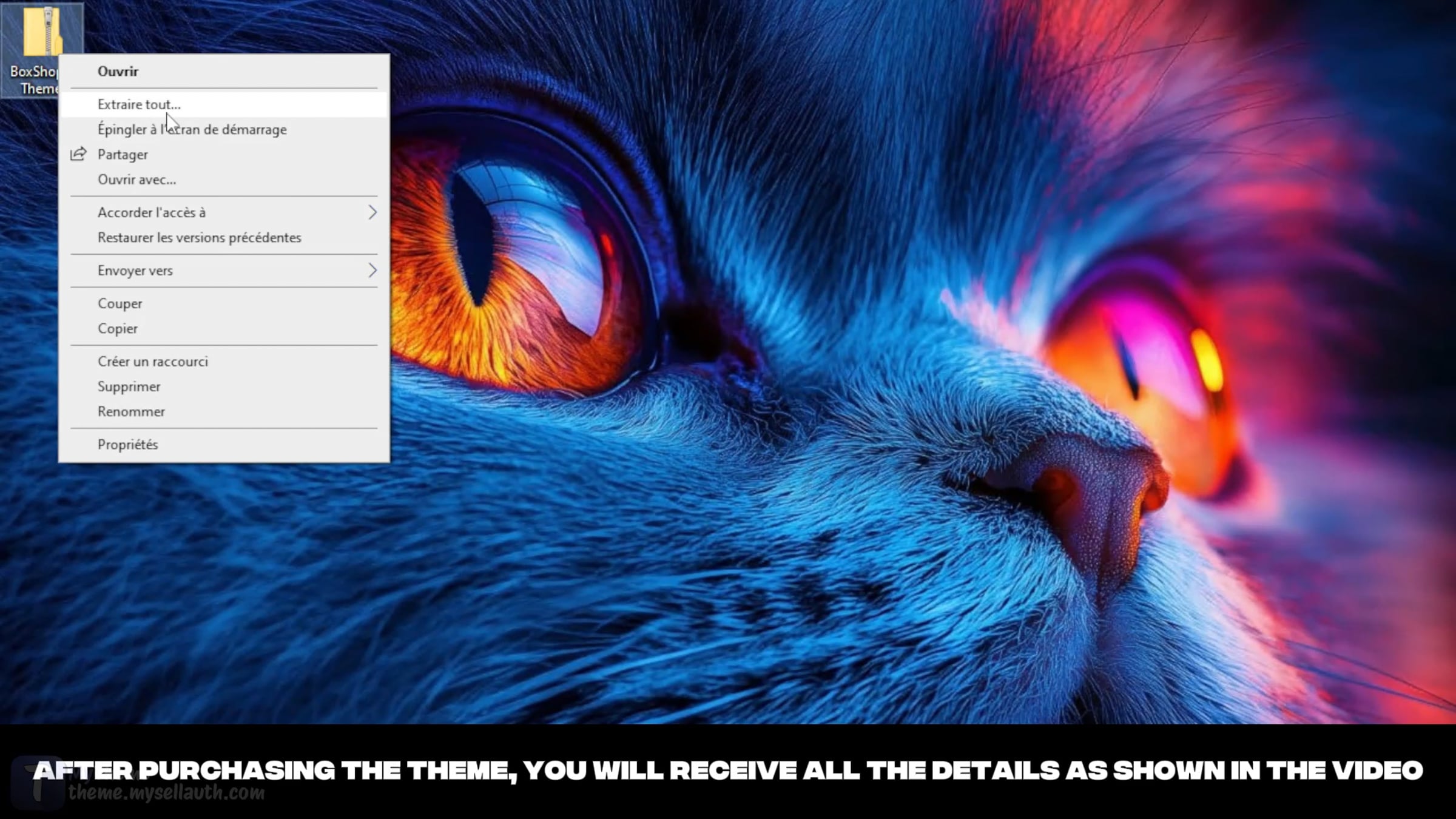 Tutorial | How to easily install the Sellauth theme
