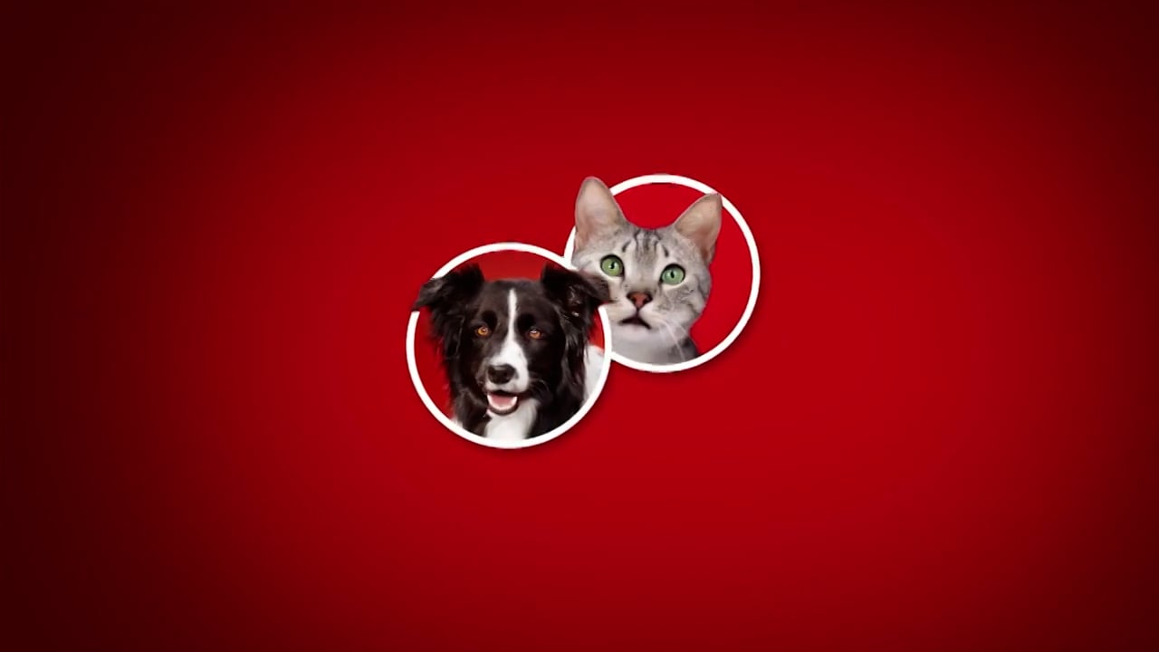 Purina One - 28 Days :15