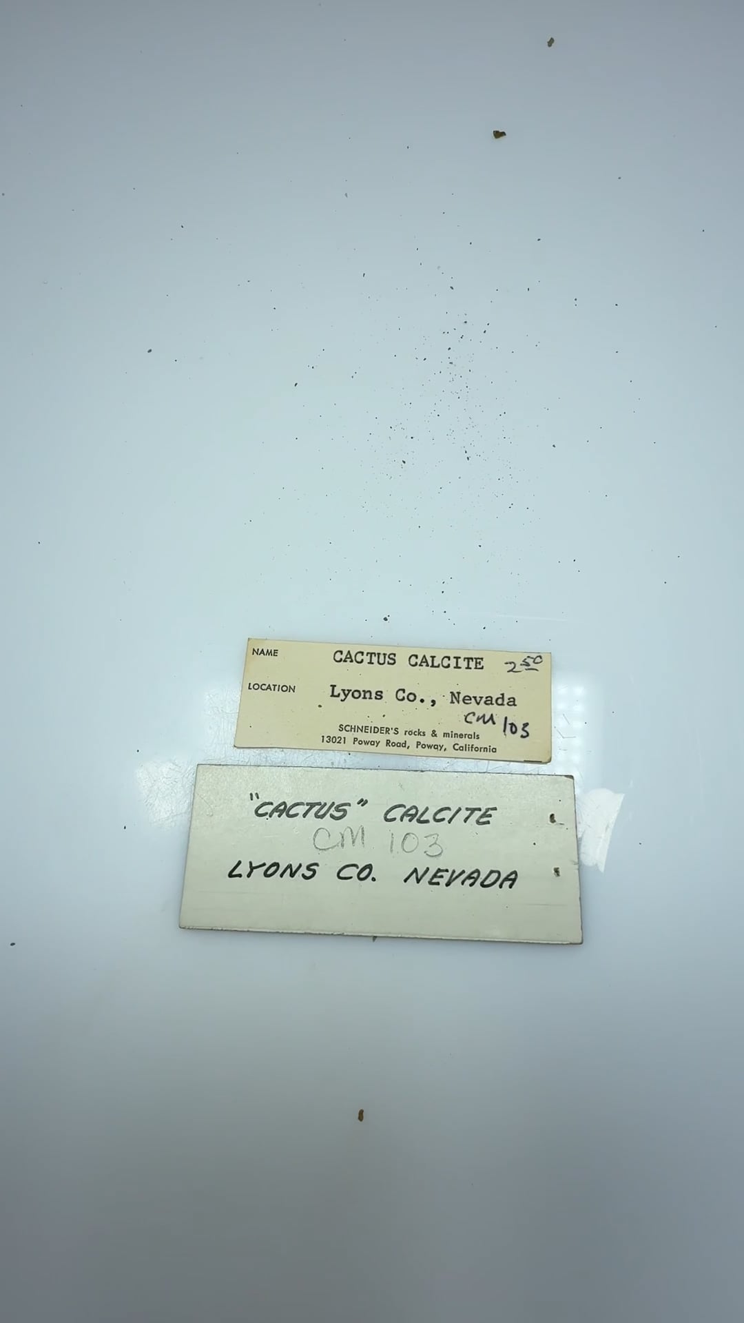 Untitled [vimeo.com]