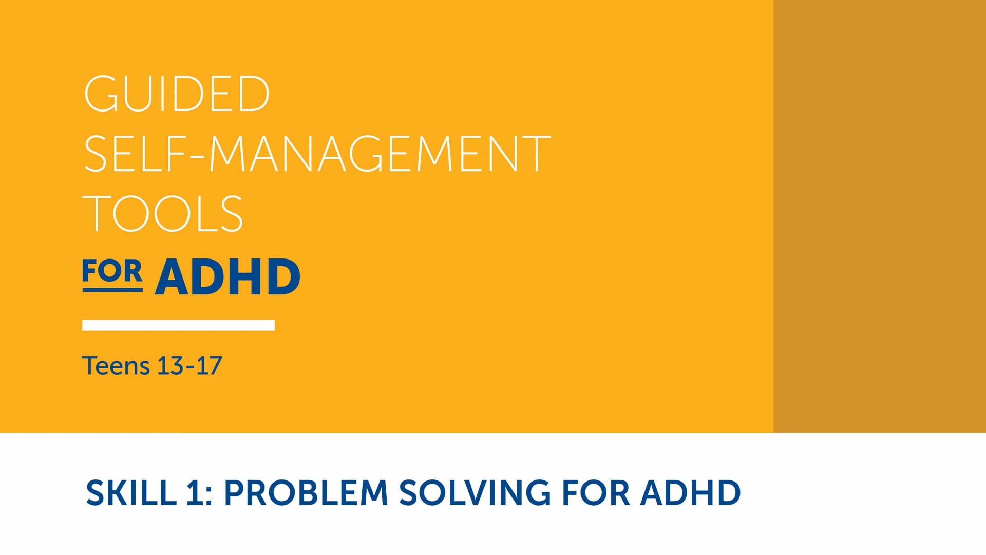 45 ADHD T Problem Solving
