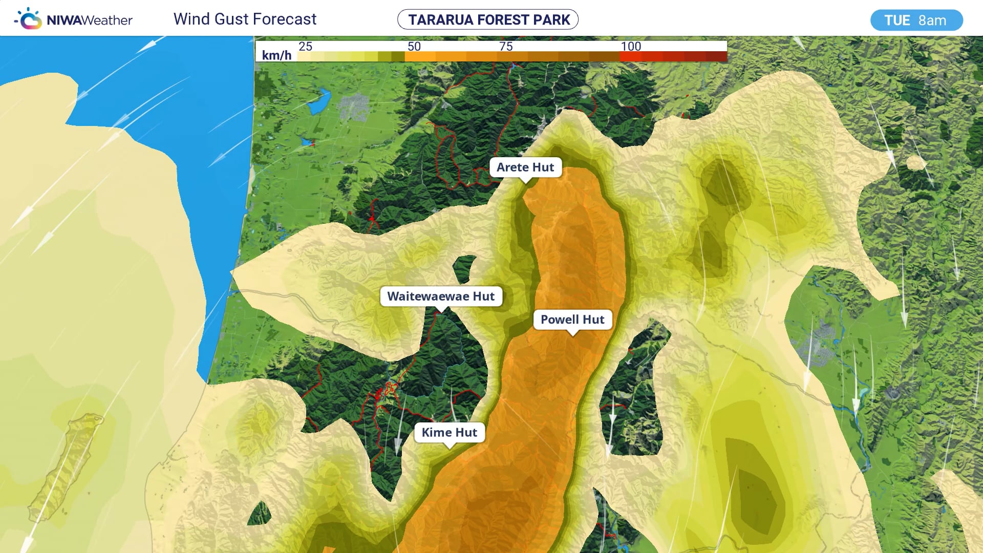 Tararua Forest Park Weather Outlook