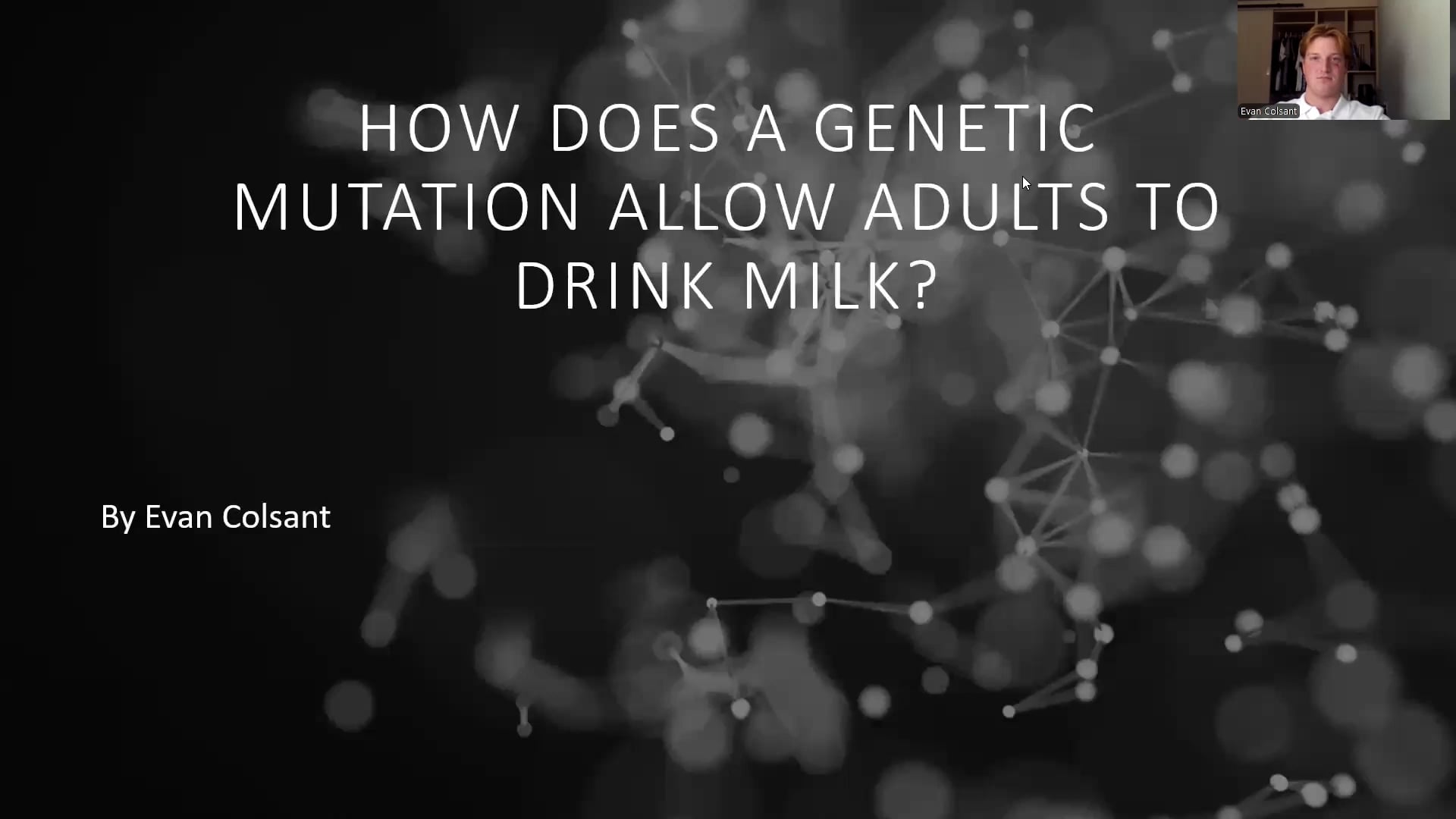 How does a Genetic Mutation allow Adult Humans to Drink MIlk?