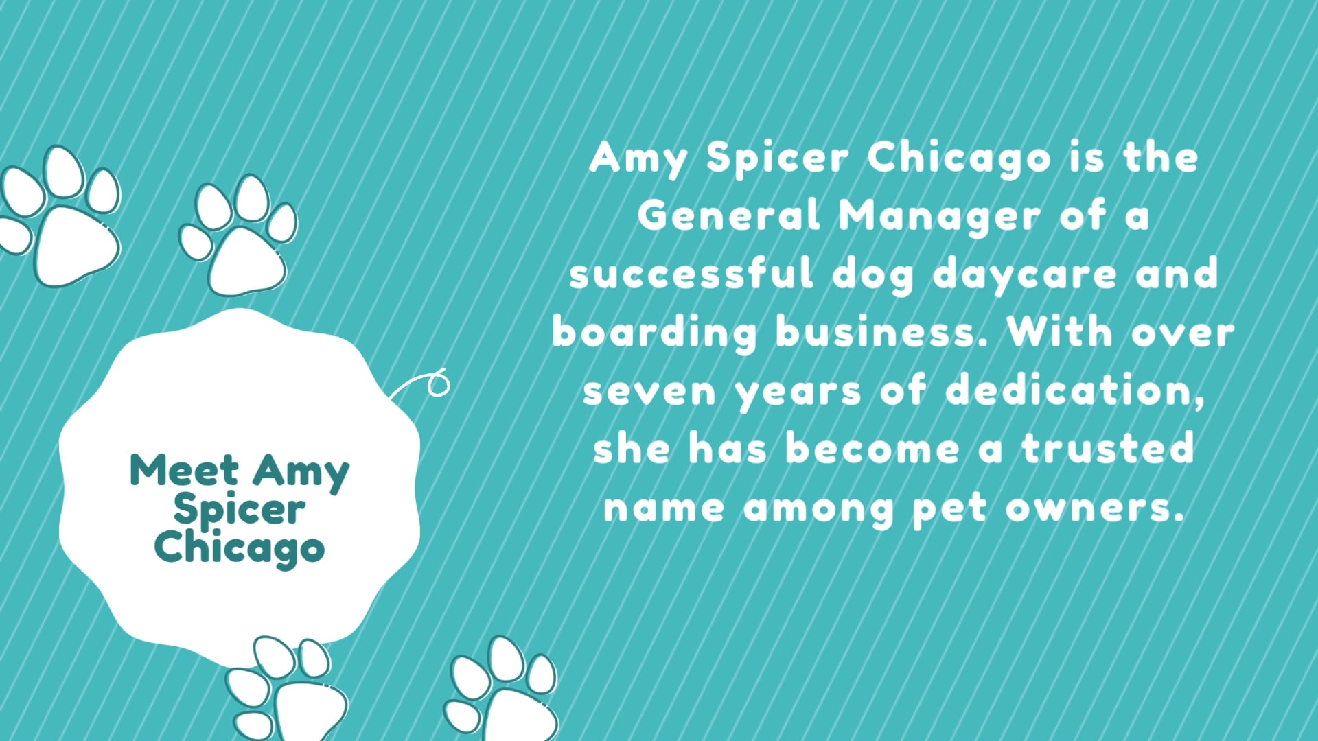Amy Spicer Chicago’s Impact on Pet Daycare Services