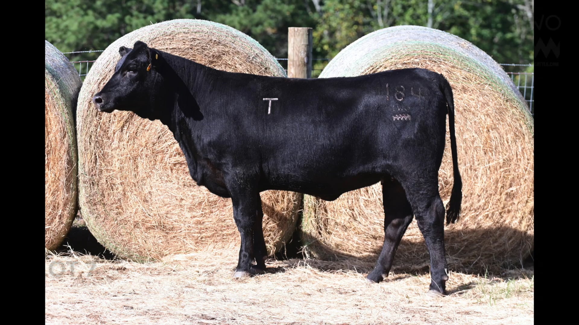 Lot 7 Two Rivers T184
