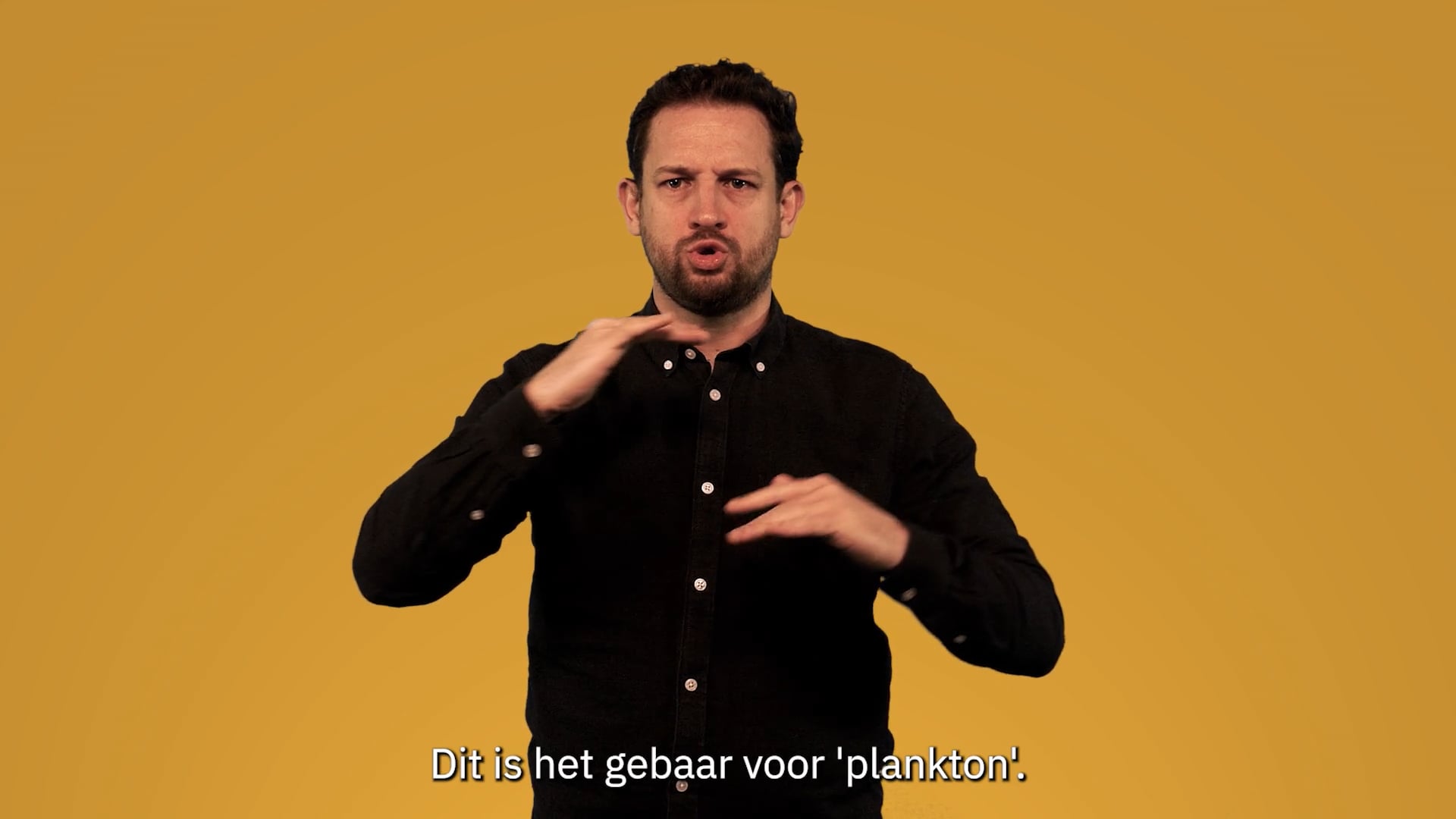 Gebaar 4: Plankton