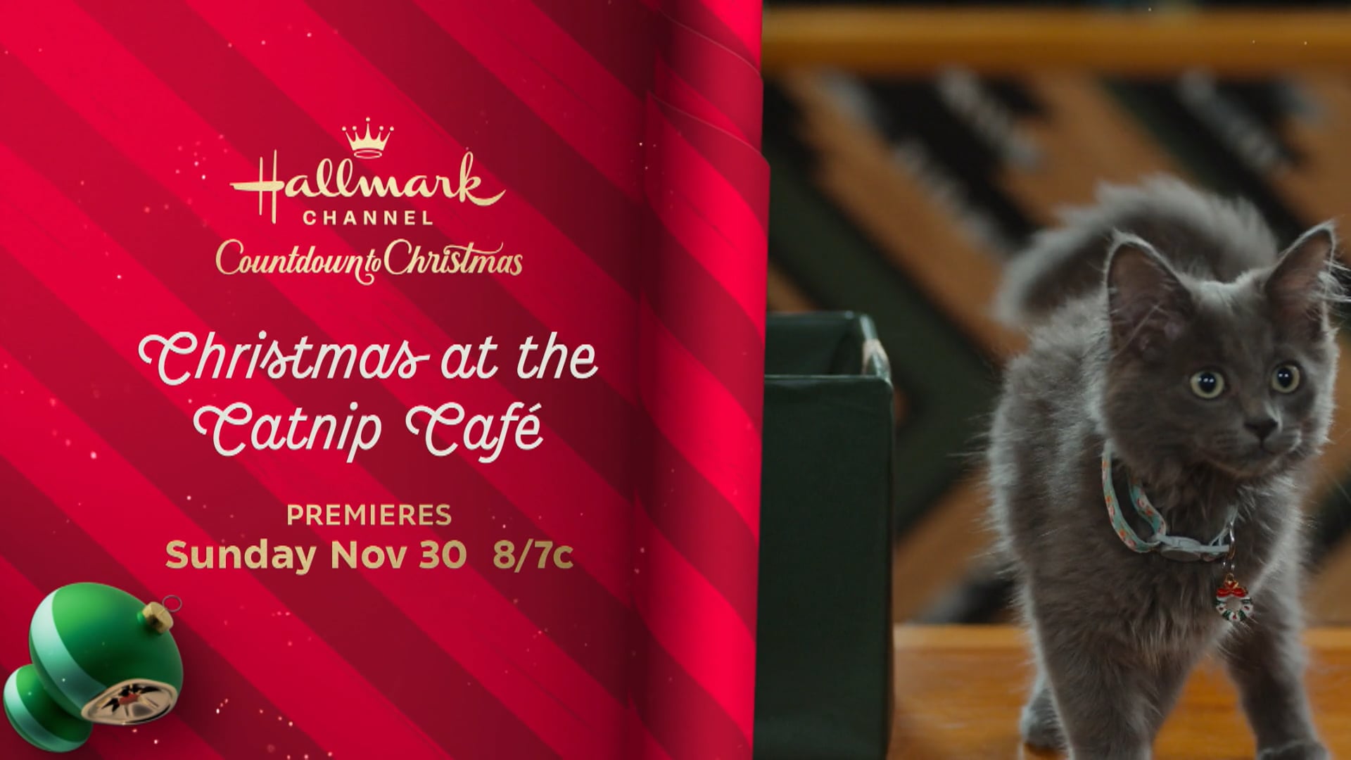 Christmas At The Catnip Cafe HC