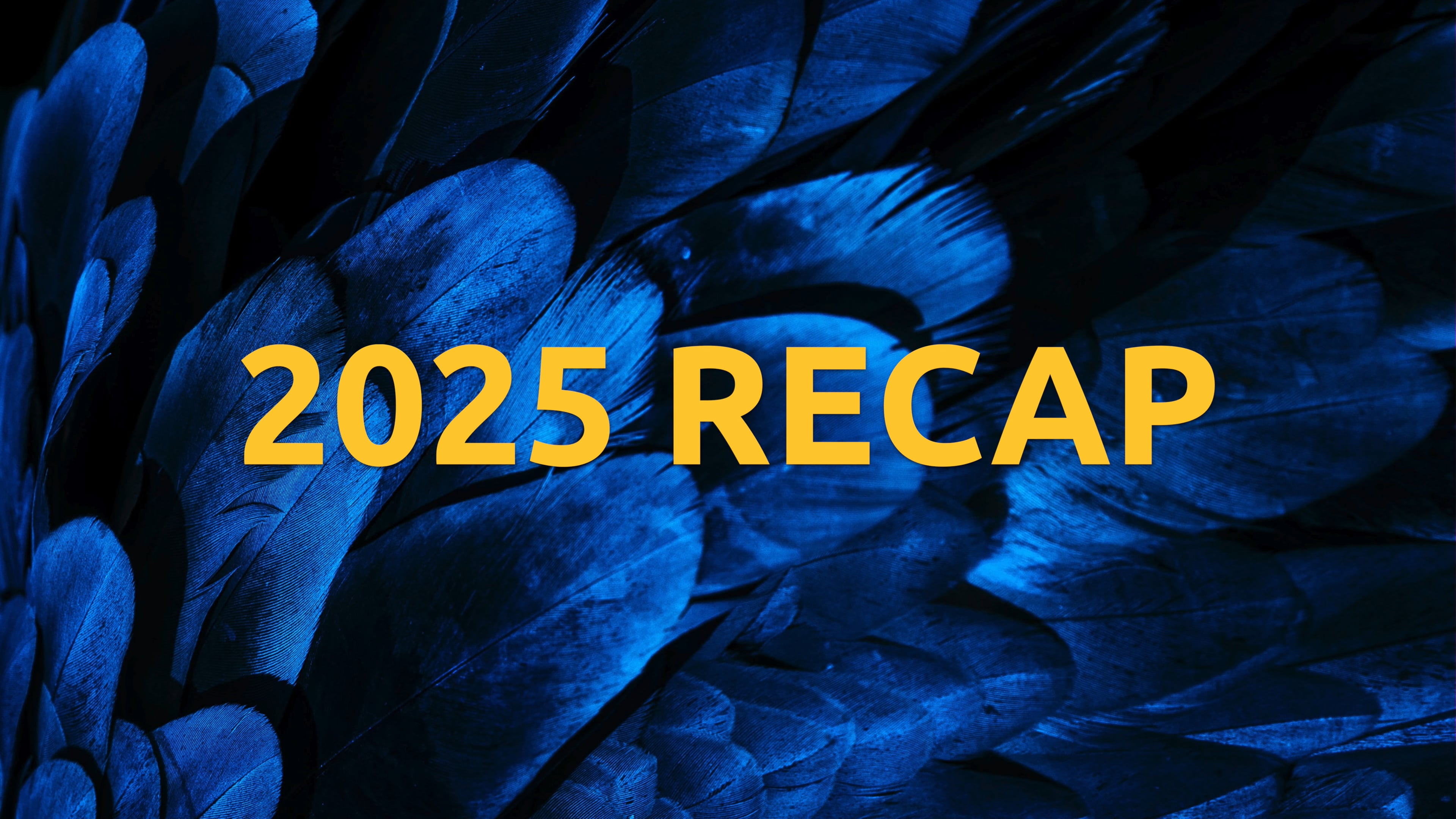 TA Recap 2025