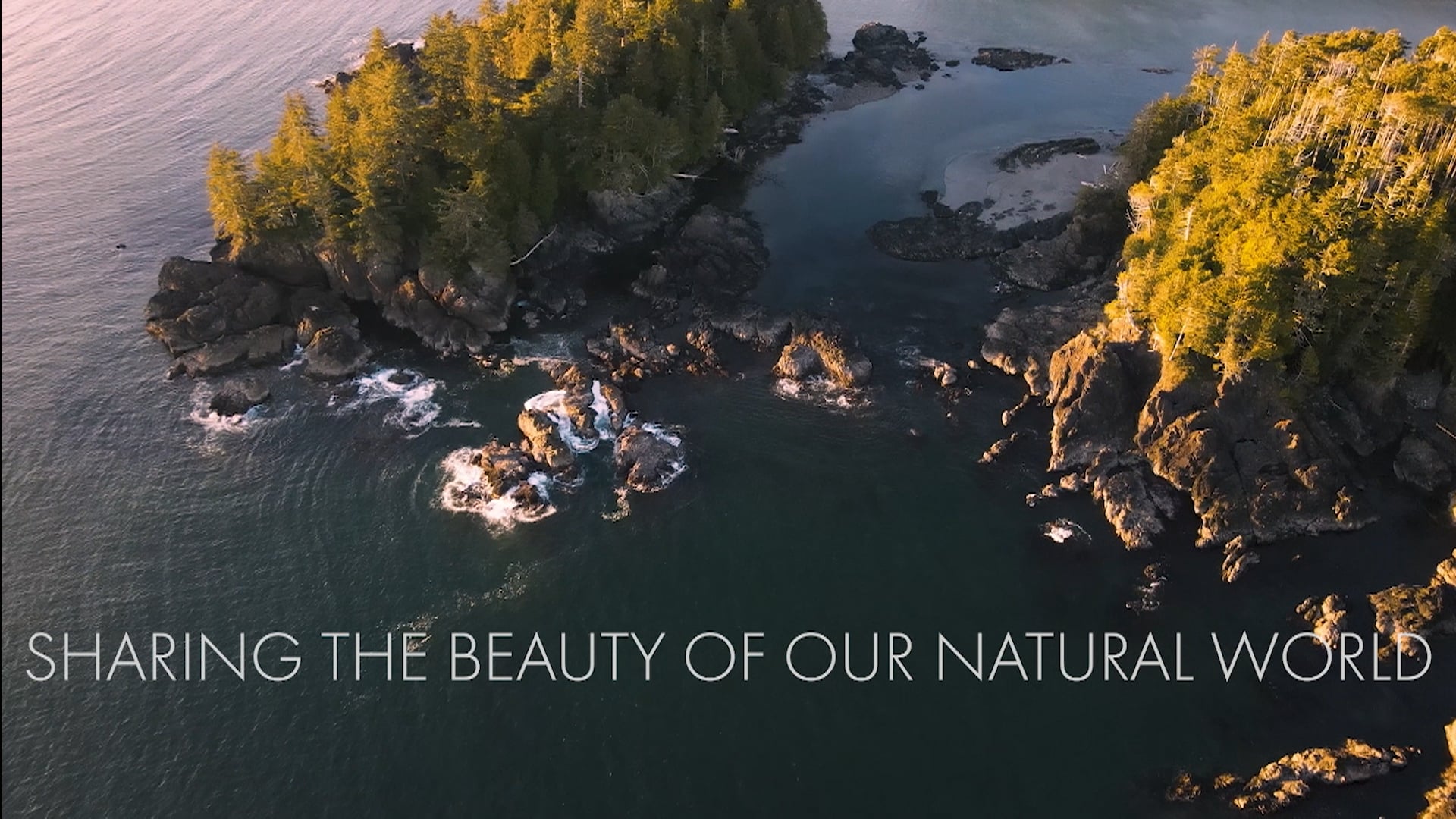 Our Natural World