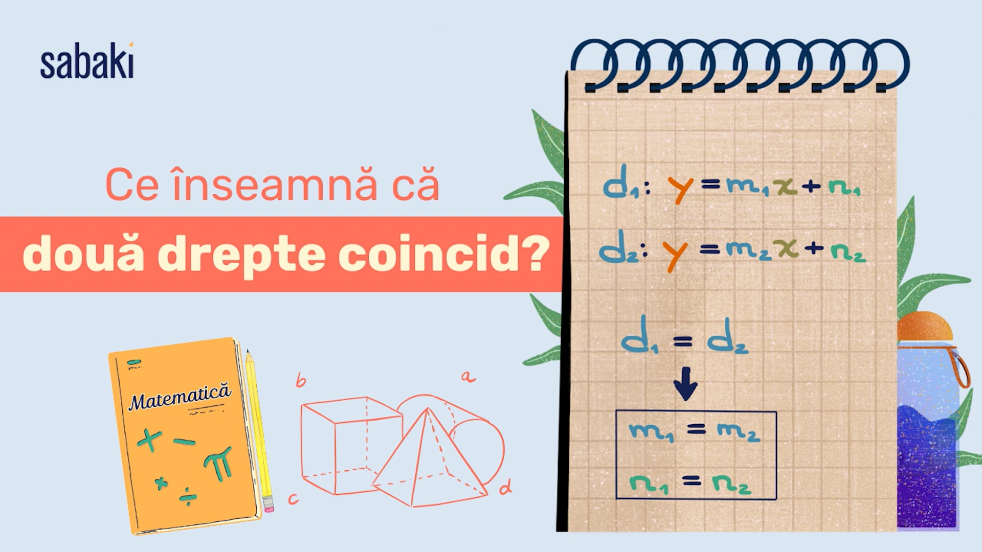 8.15 - Ce inseamna ca doua drepte coincid