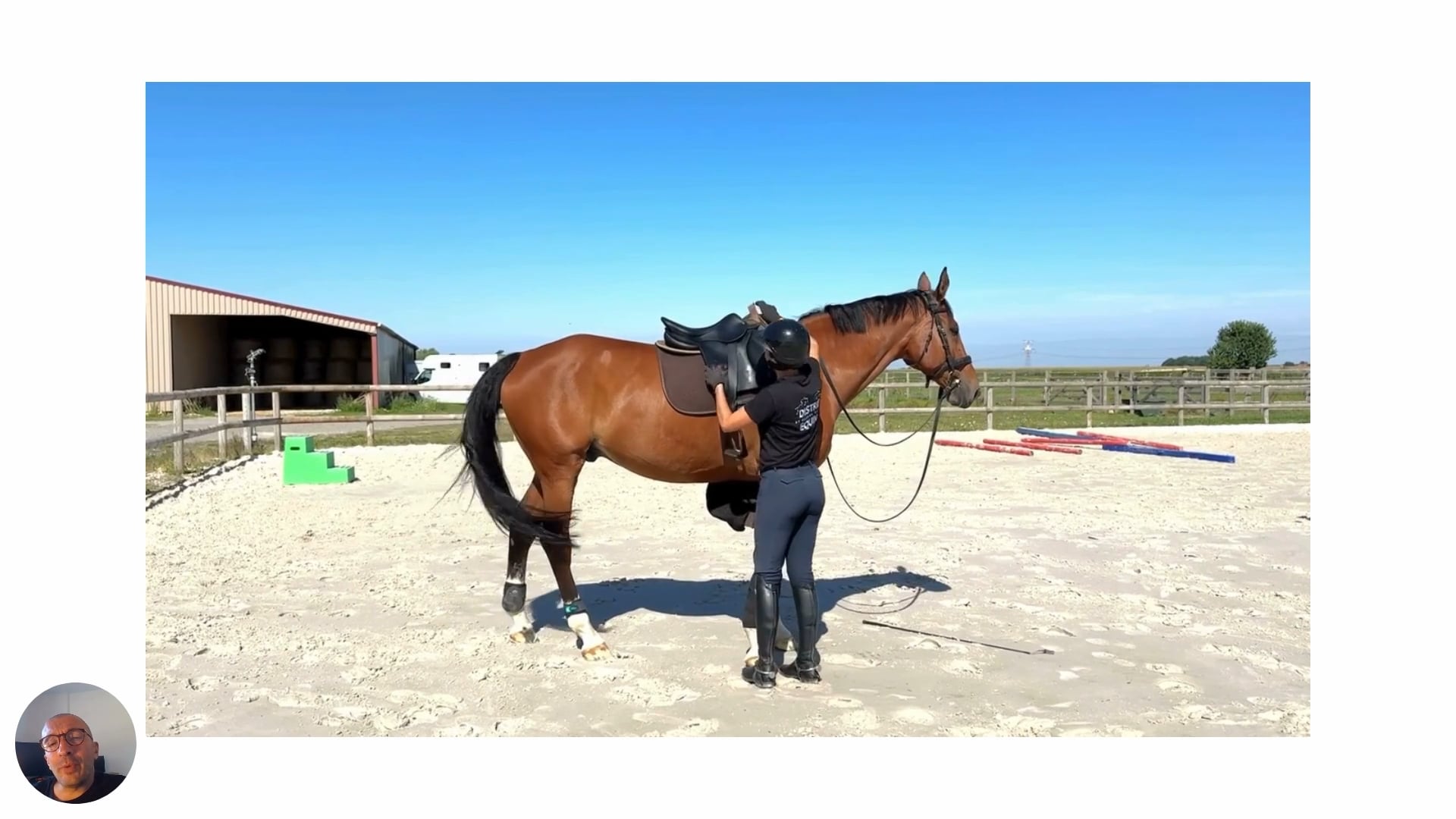 How Saddle Fit Can Cause Back Pain in Your Horse | Ridely