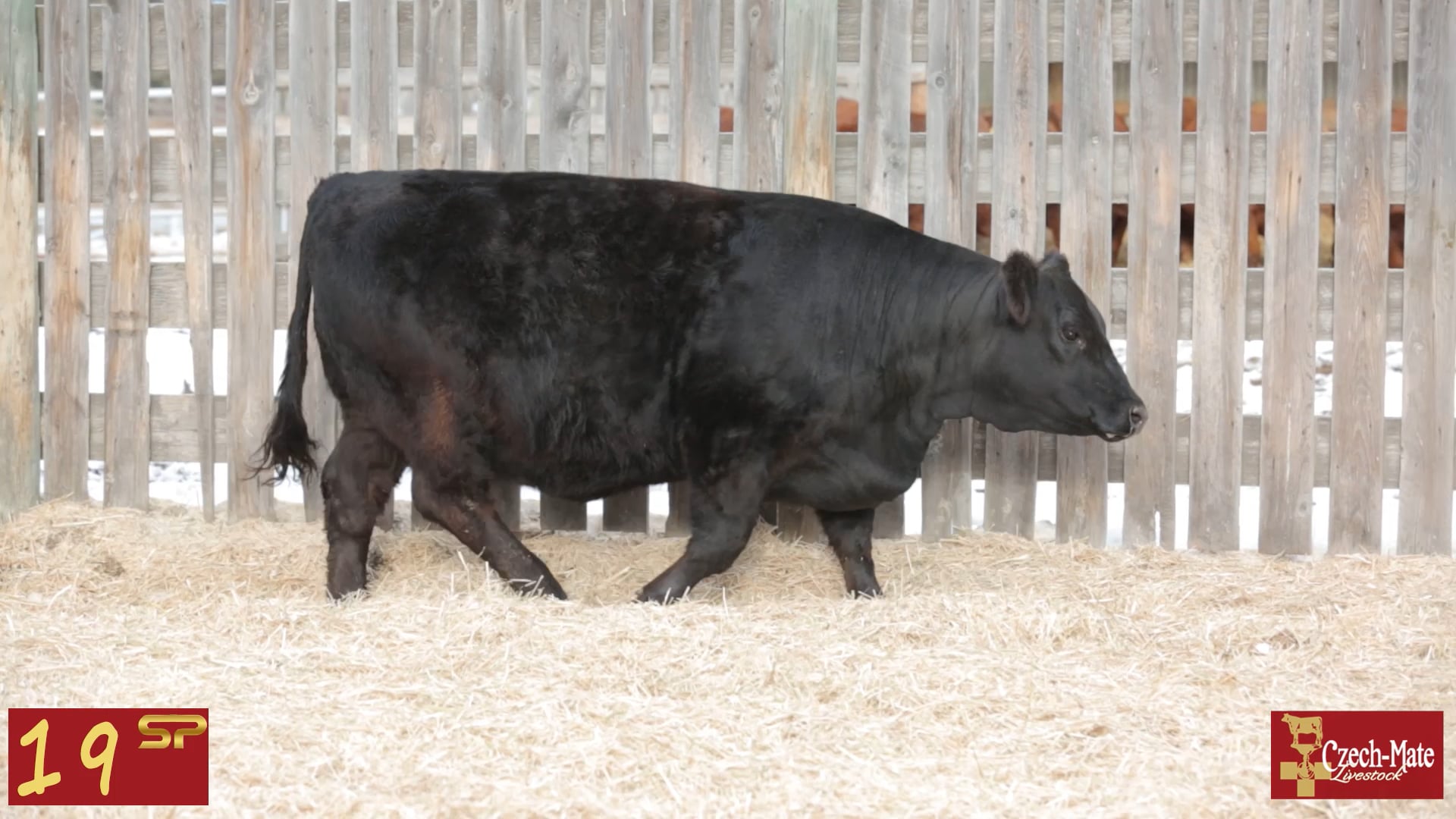 SimPower '25 Lot 19.mp4