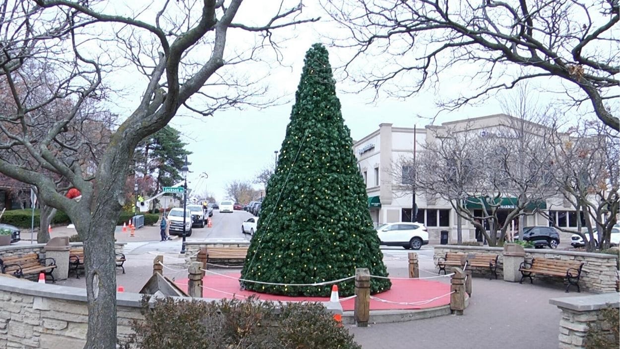 Annual Christmas tree returns to Naperville’s Dandelion Fountain