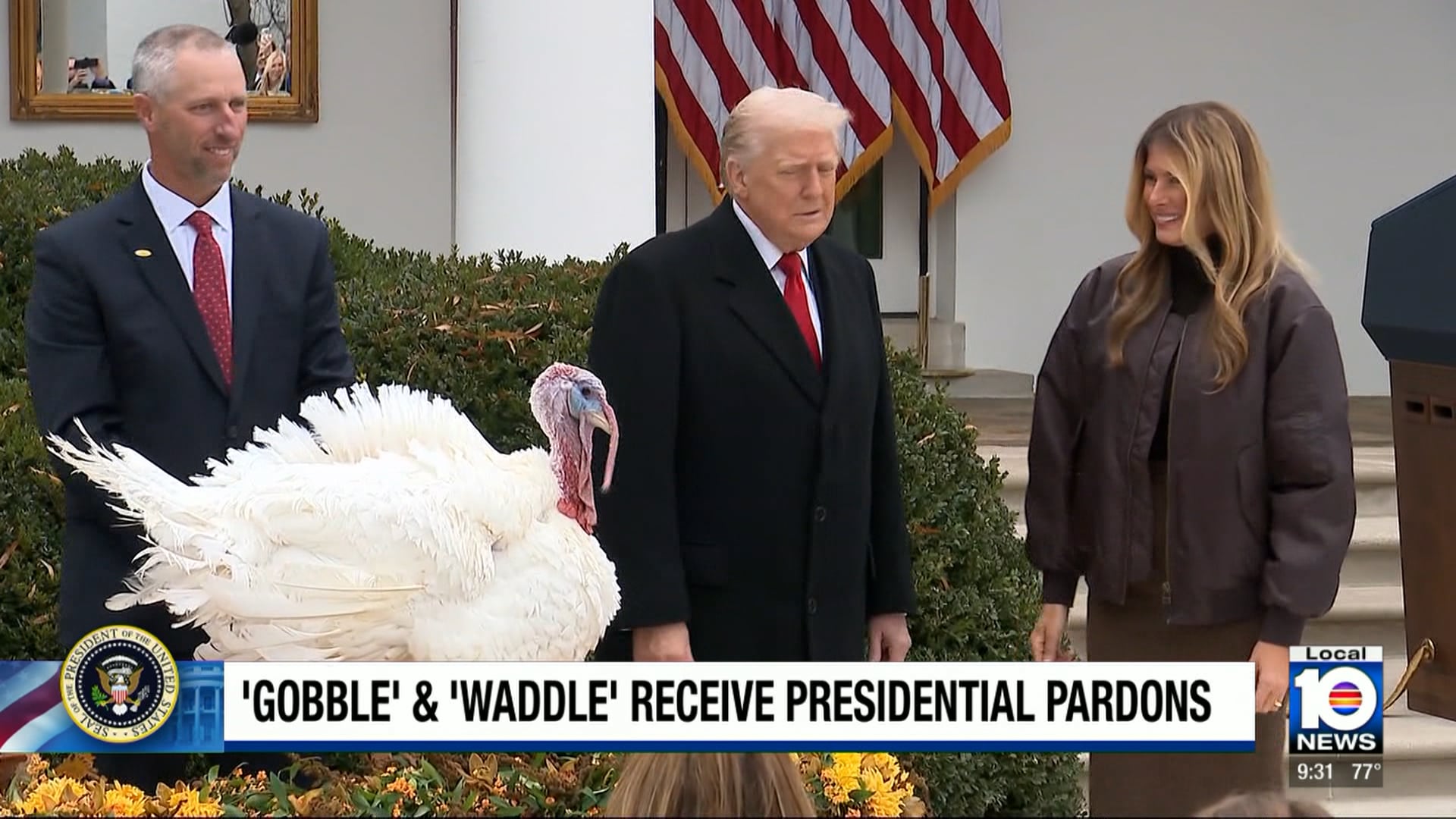 Pre-Thanksgiving chat