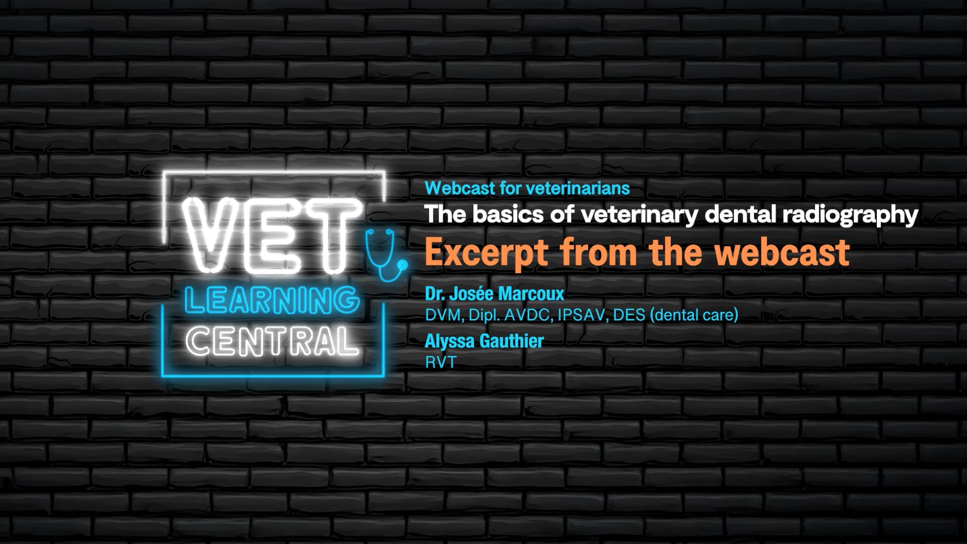 VET The basics of veterinary dental radiography extrait
