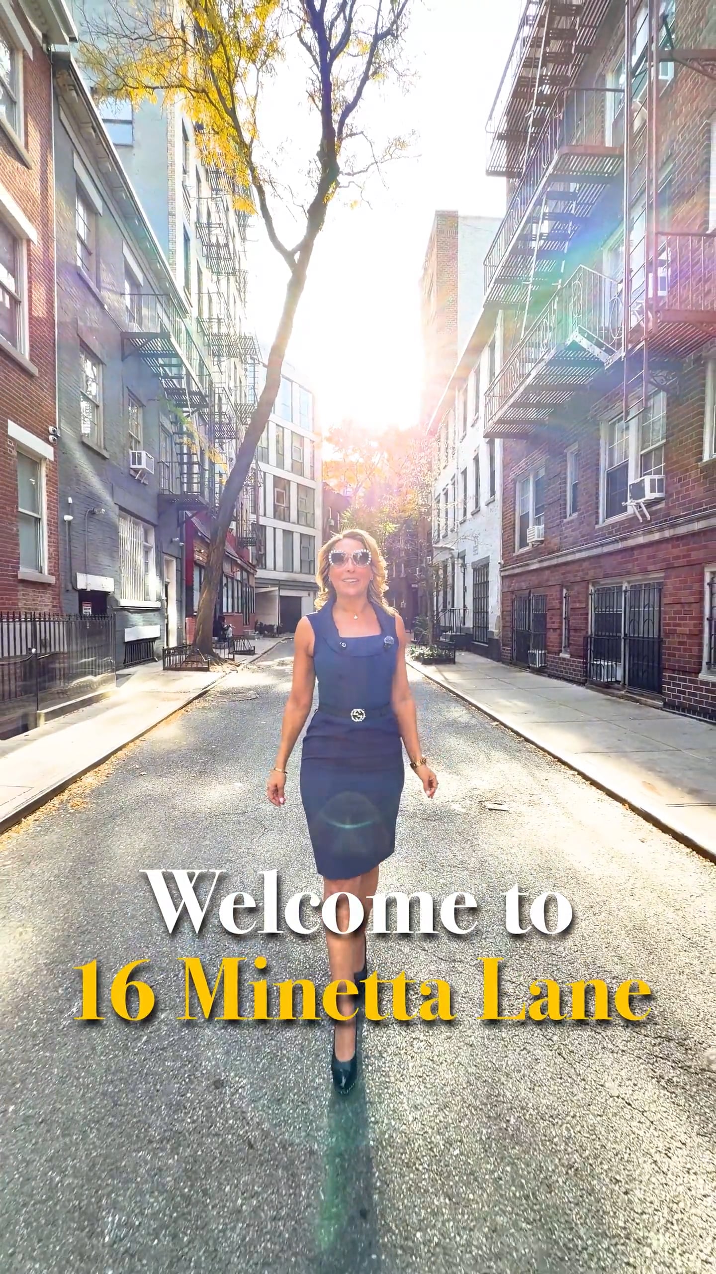 16 Minetta Lane - The Nicole Gary Team