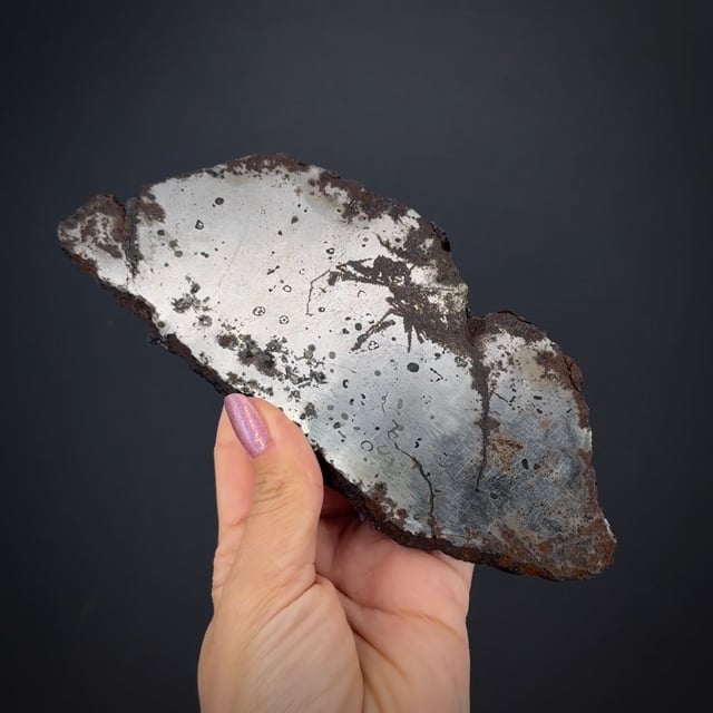 Iron var. Kamacite with Taenite - SLAB25-18 - Dronino meteorite ...