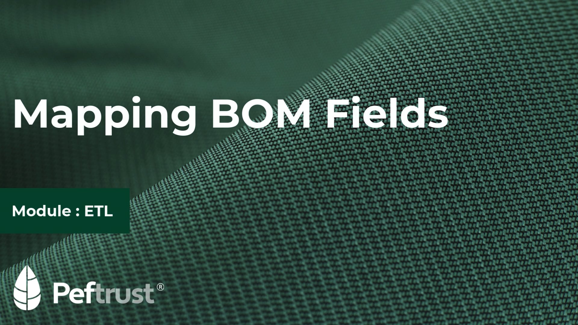 BOM Field Listing tabs