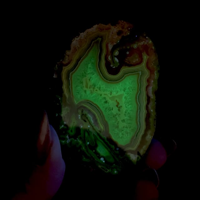 Quartz var: Agate (polished) (fluorescent) | Waldhambach, Annweiler am ...