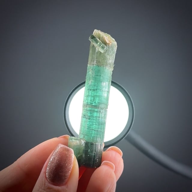 Elbaite Tourmaline - USA25-33 - Gillette Quarry - USA Mineral Specimen