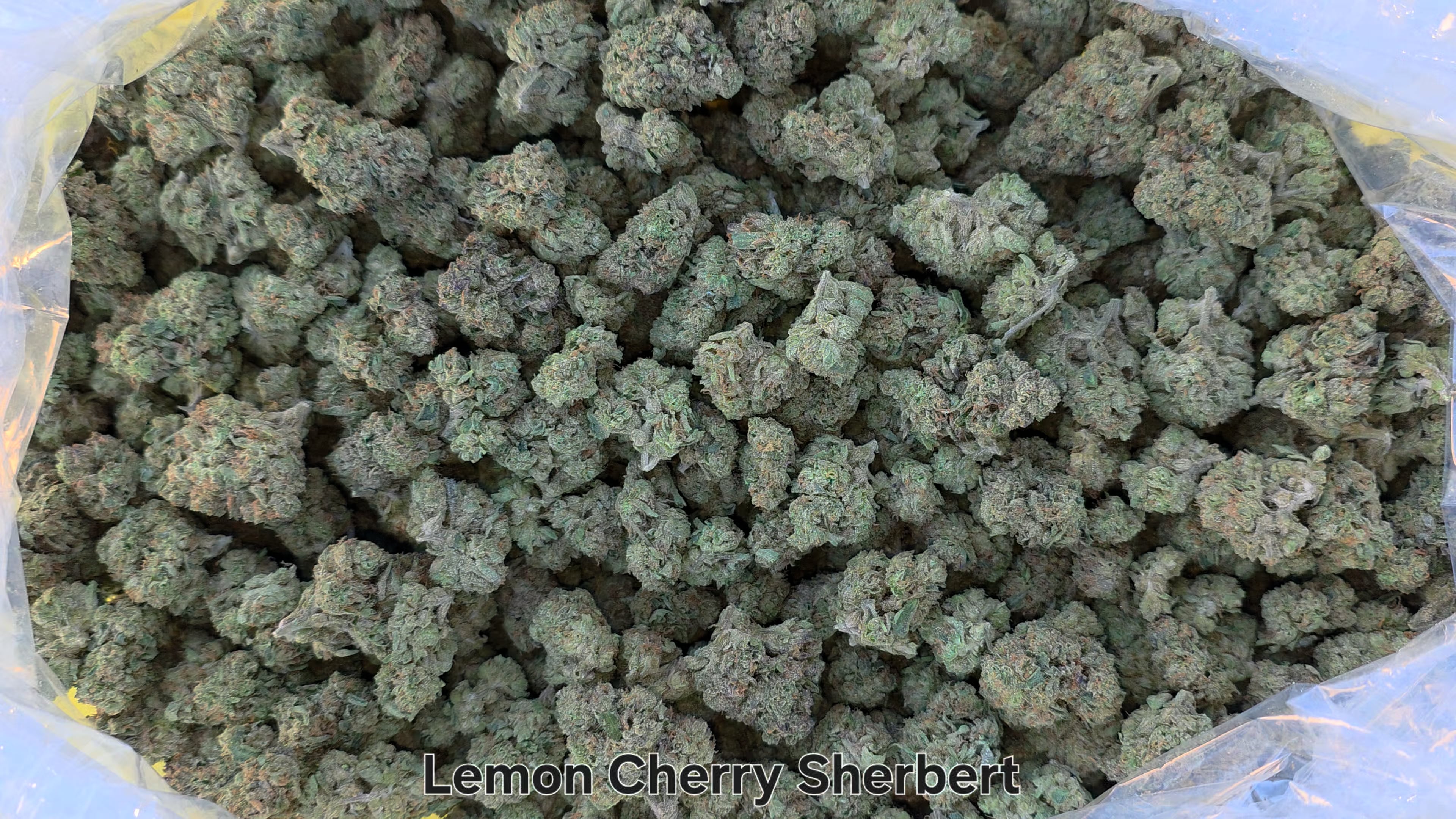 Lemon Cherry Sherbert.mp4