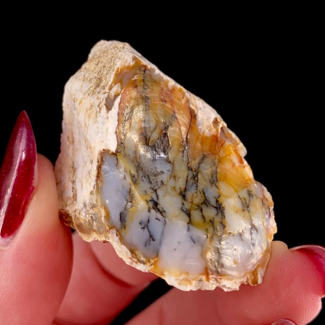 Dendritic Opal with Manganese Oxide inclusions | Bohouškovice Opal ...