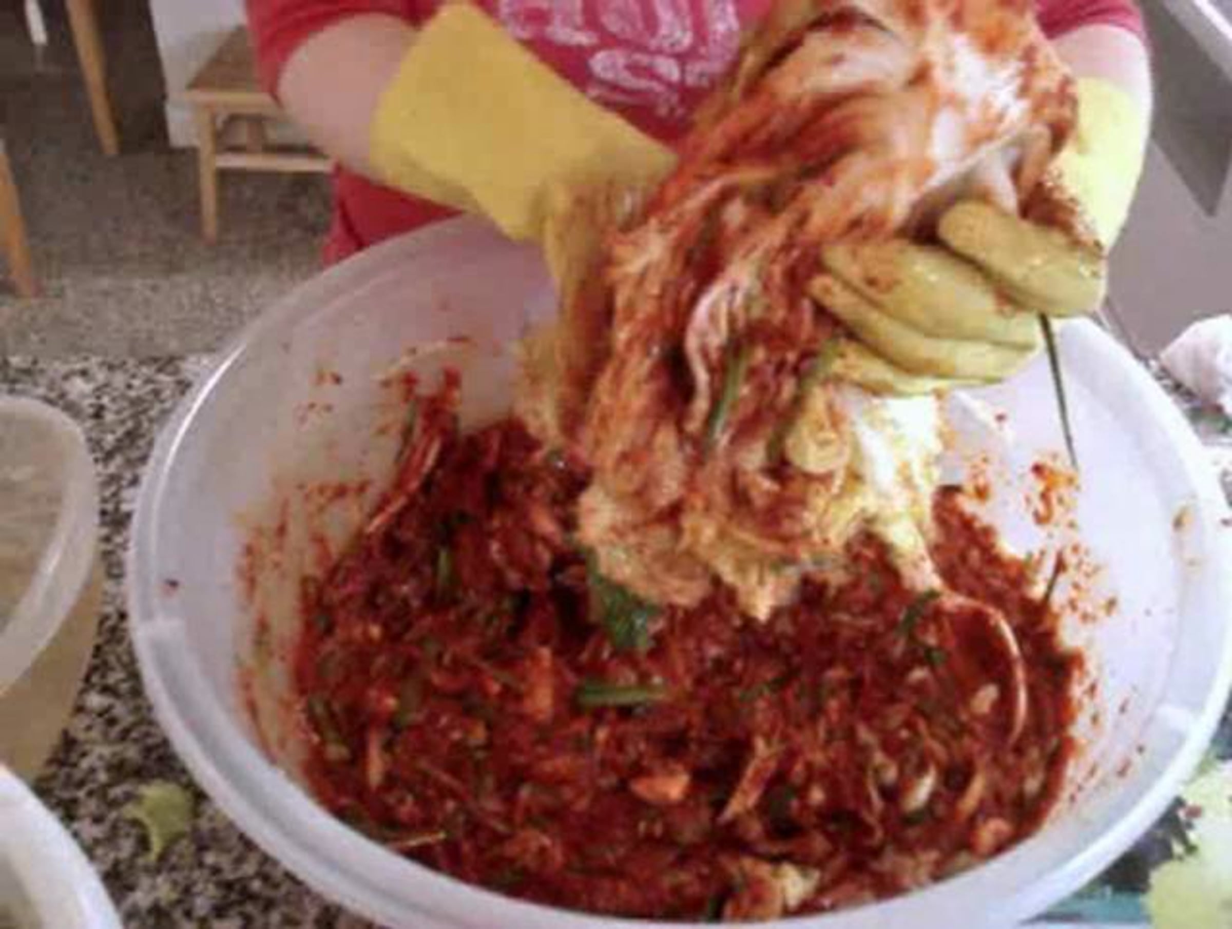 Kimchi and kaktugi