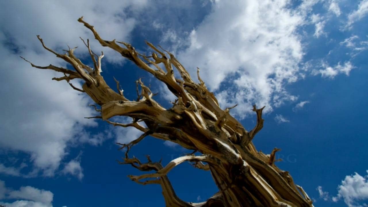 Timescapes: Digital Timelapse on Vimeo