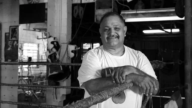 Vivero Boxing