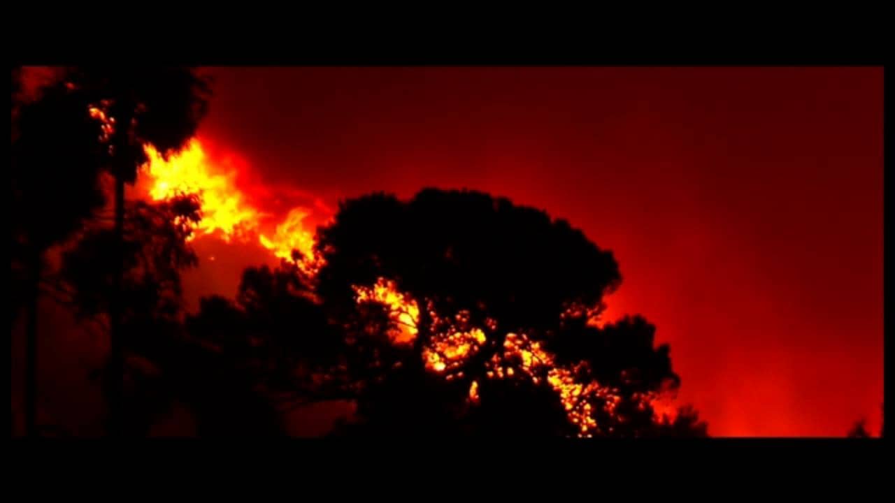 Tea/Las Alturas Fire, Santa Barbara California on Vimeo