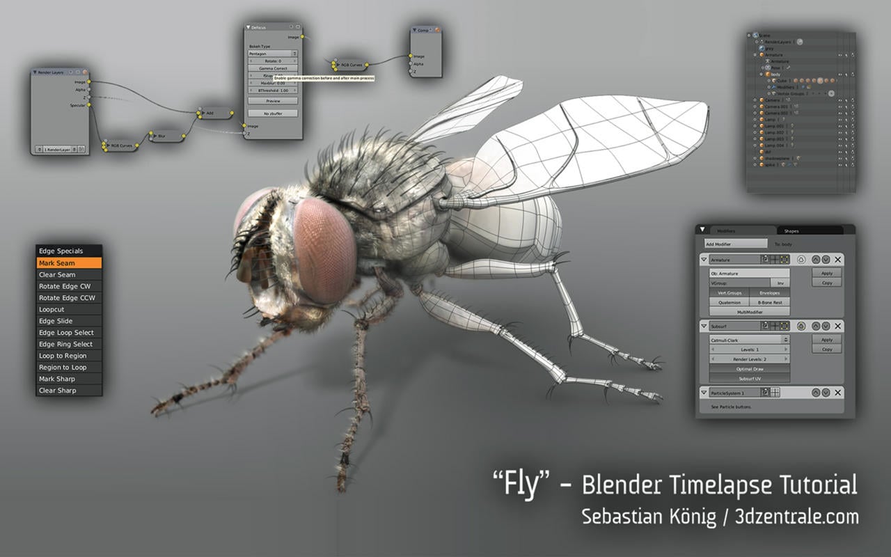 "Fly" - Blender Timelapse Tutorial on Vimeo