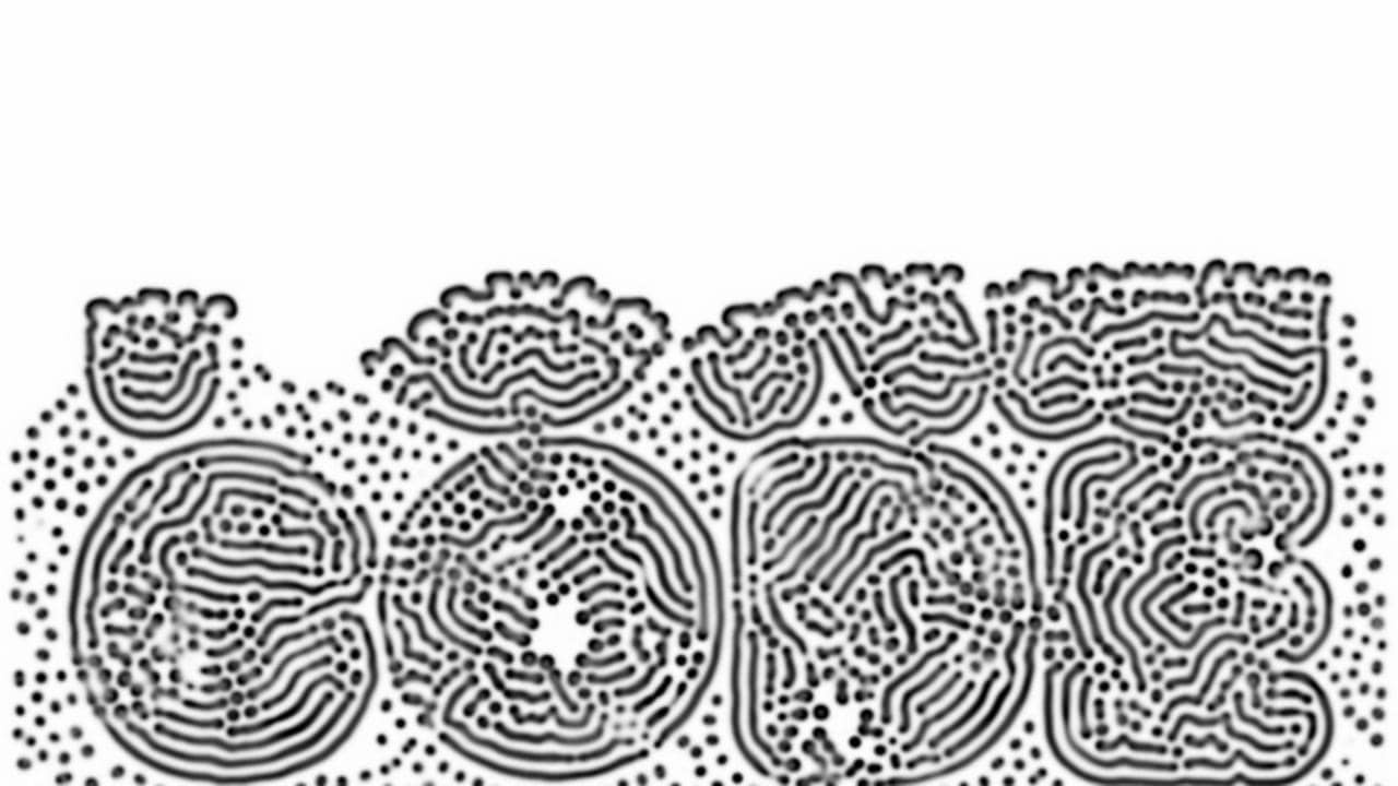 Print Magazine cover design: Gray-Scott reaction diffusion on Vimeo