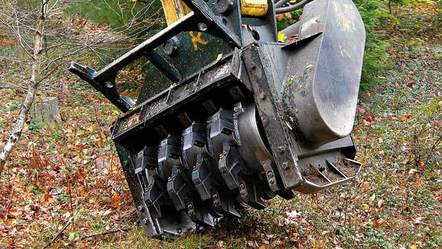 A Brown Brontosaurus at work eating trees on Vimeo