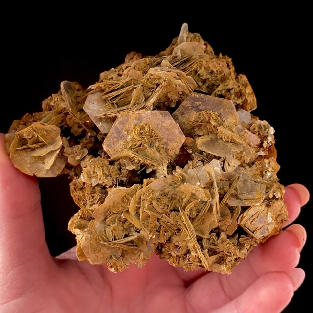 Muscovite (RARE Austrian locality) | Grasfeld gorge, Neukirchen am ...