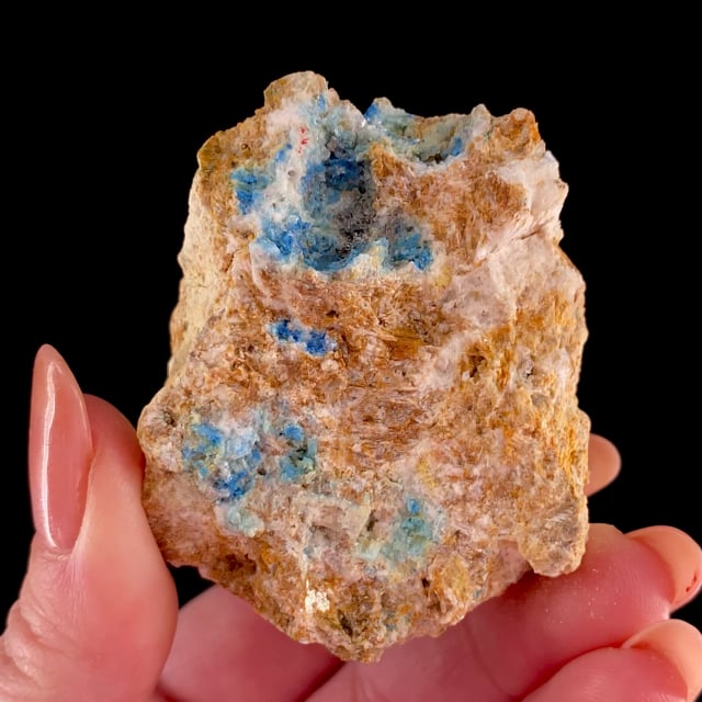 Penfieldite (rare) with Boleite | Margarita Mine, Caracoles, Caracoles ...