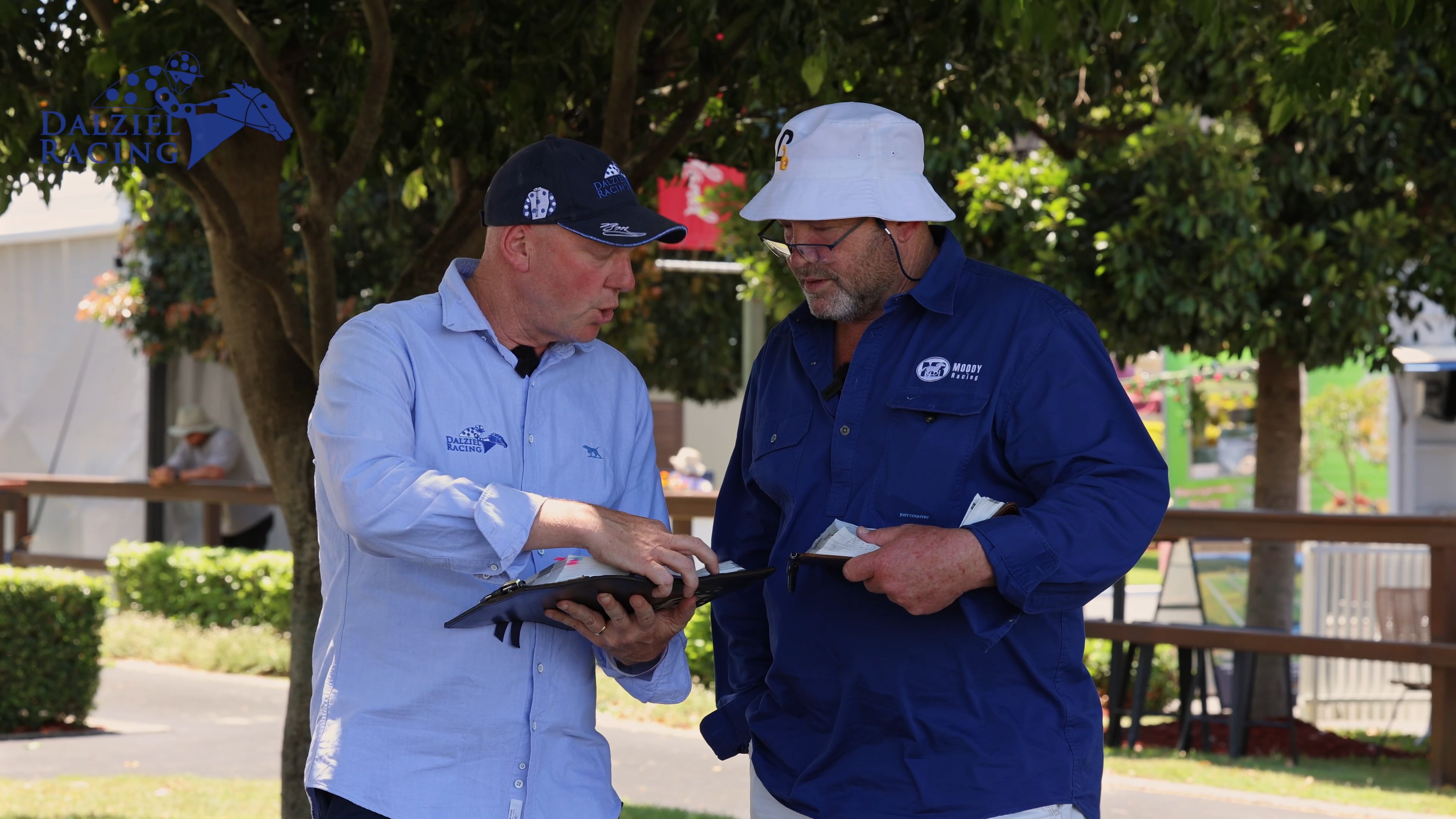 Magic Millions January Yearling Sale, 2026 - Lot 236 - State Of Rest ...
