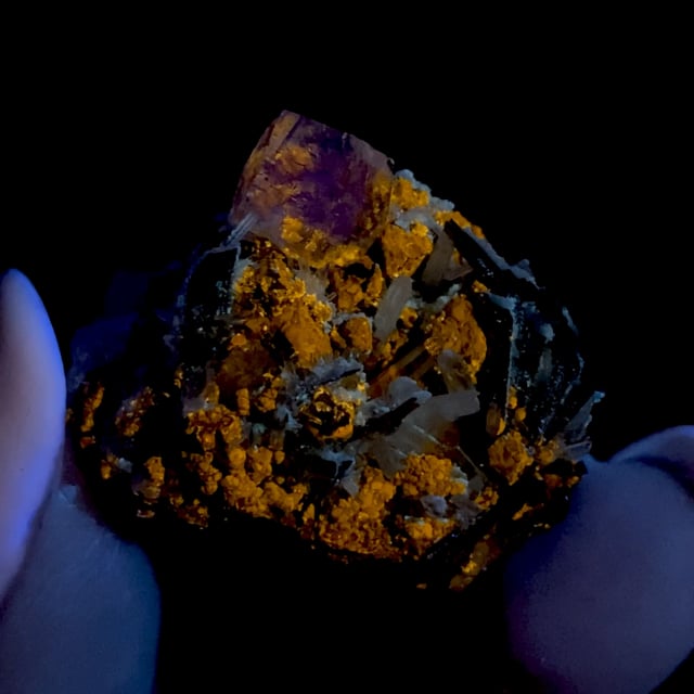 Fluorite (GEM crystal) (Mined: 1978) | Sweet Home Mine, Mount Bross ...