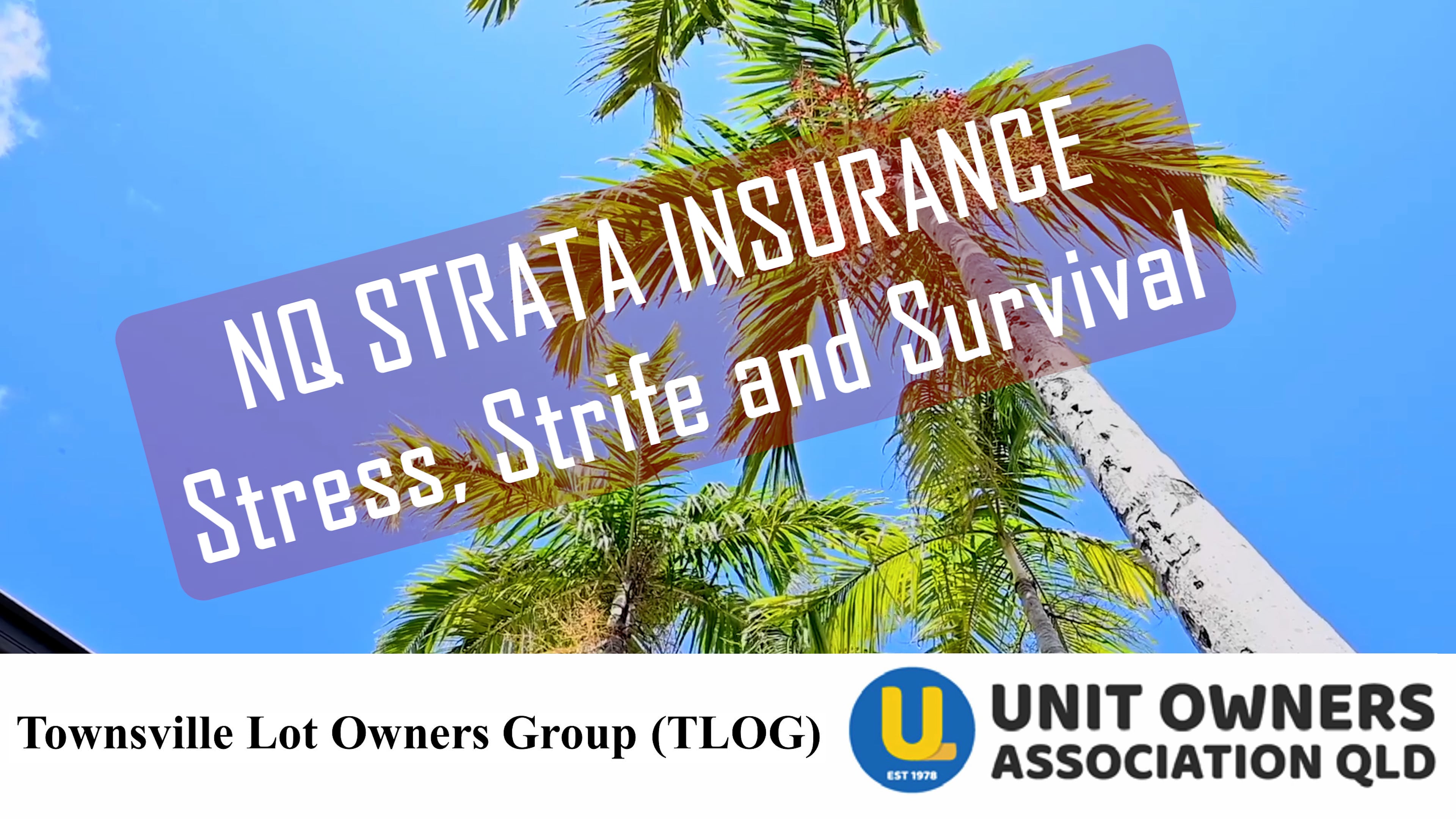 NQ Strata Insurance- STRESS, STRIFE and SURVIVAL | Videos & Movies on Vimeo
