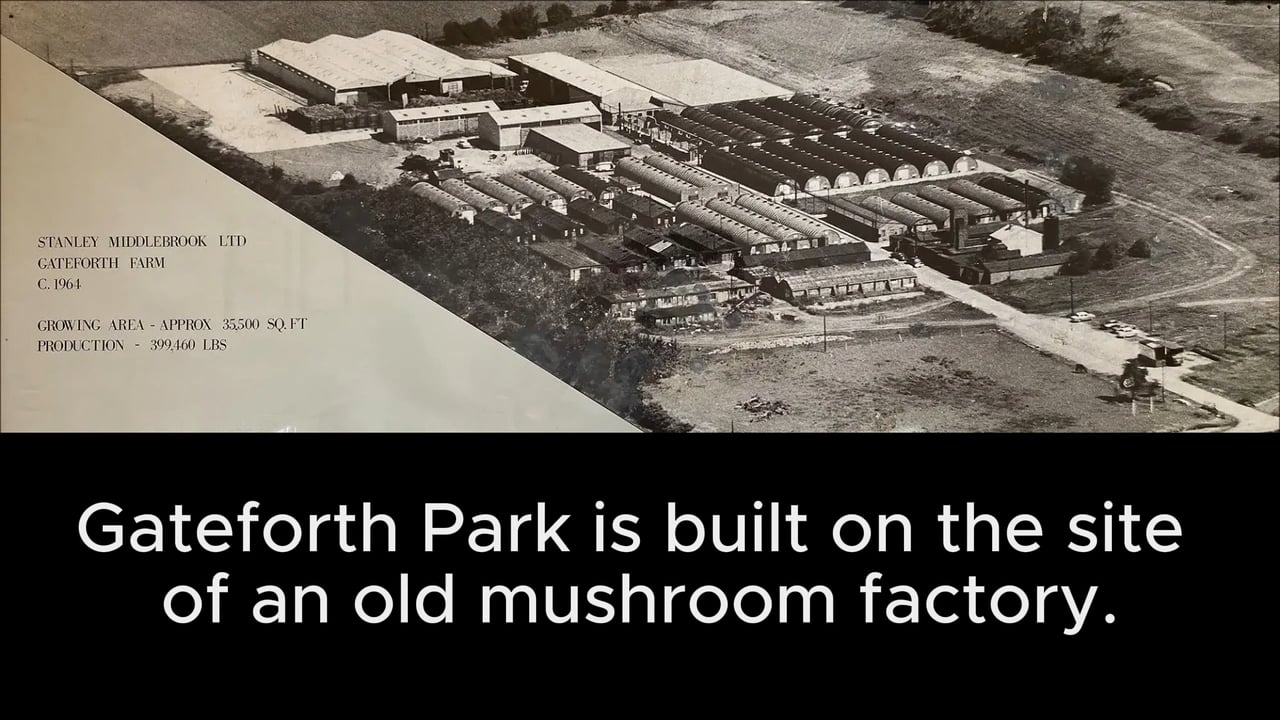 Gateforth Park Promotional Video 2026