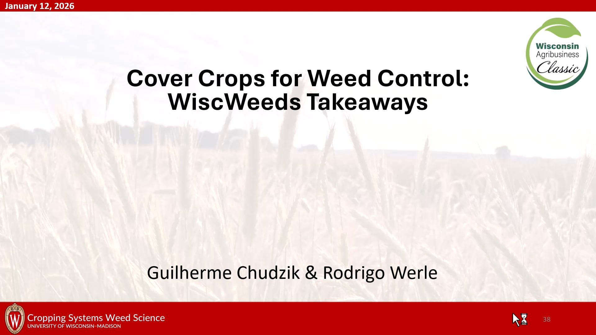 Cover Crops for Weed Control: WiscWeeds Takeaways