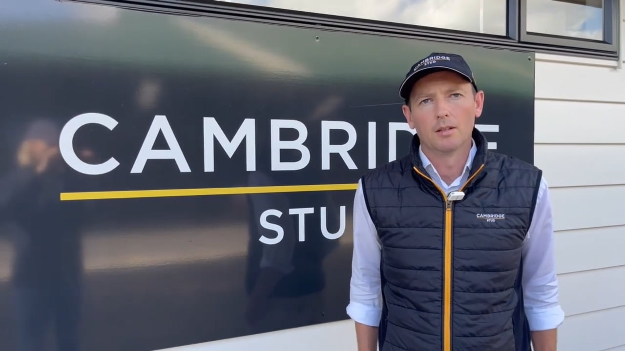 Scott Calder - Cambridge Stud