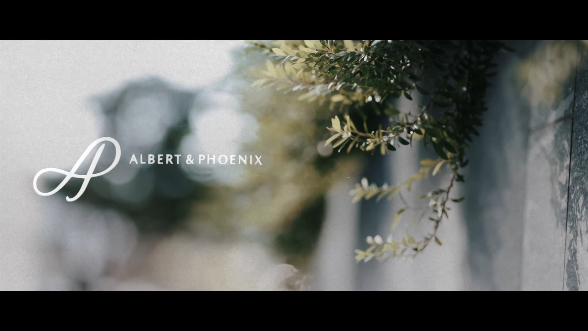:: Albert + Phoenix :: Wedding Story //台北漢來大飯店Grand Hilai Taipei//