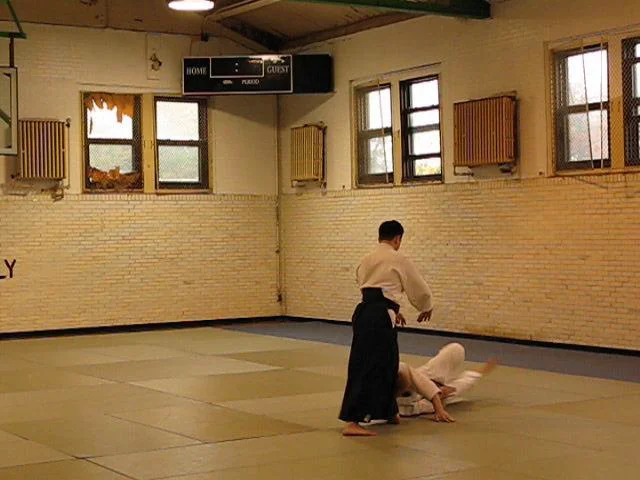 Roman Solonyy Sensei on Vimeo