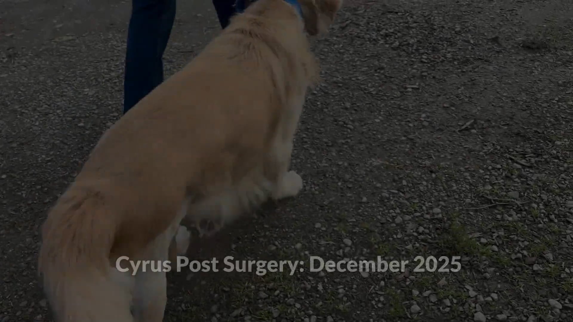 Cyrus' Journey | Videos & Movies on Vimeo
